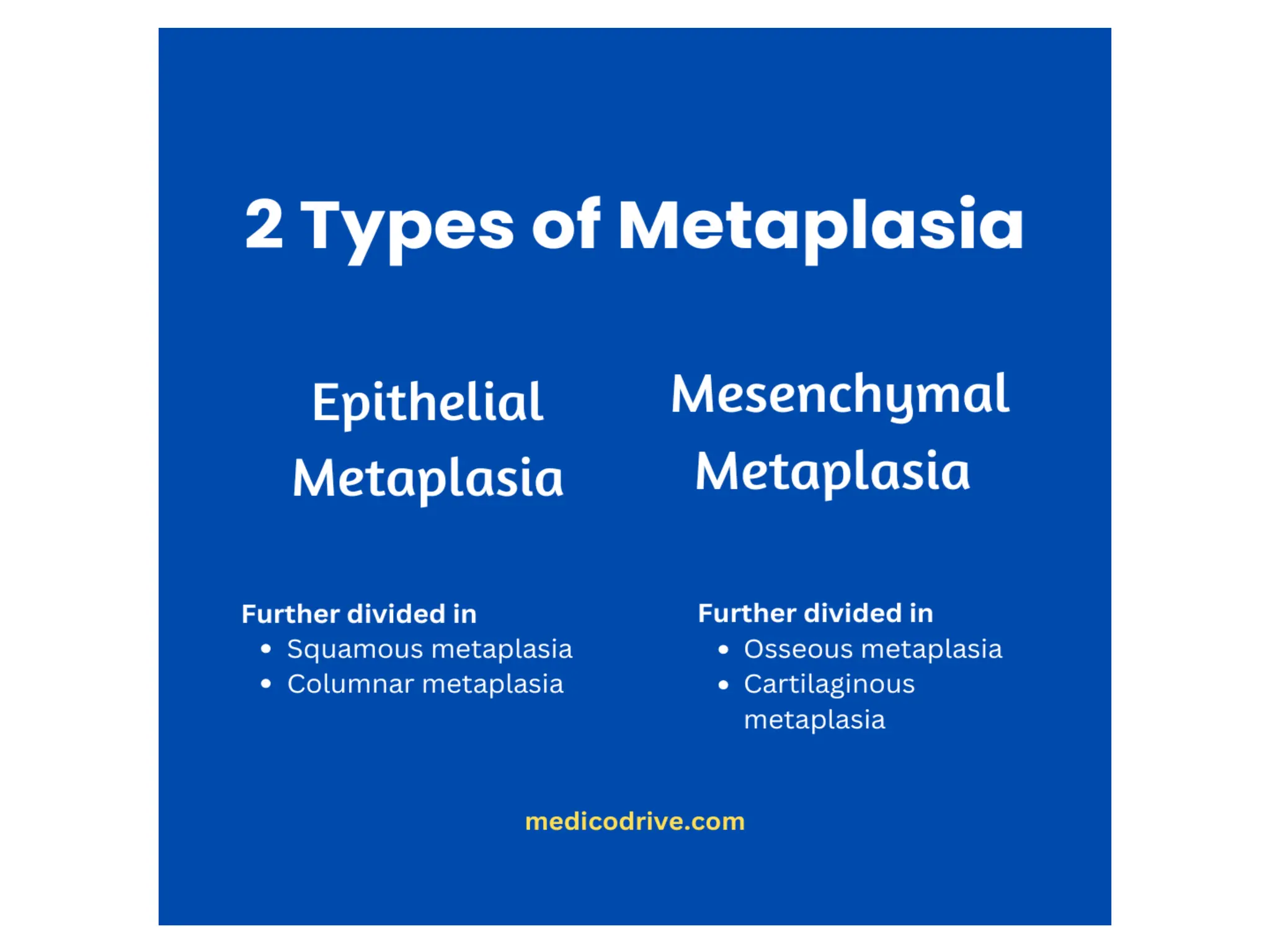 Metaplasia Pathology, Definition, Types, Causes and Examples | PPTX
