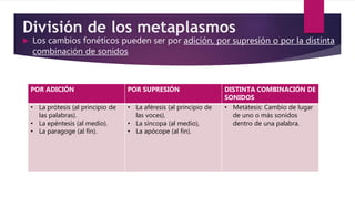 Metaplasmos | PPTX