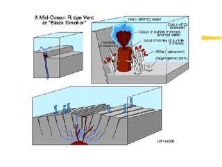 Metaplate | PPT | Geography | Science