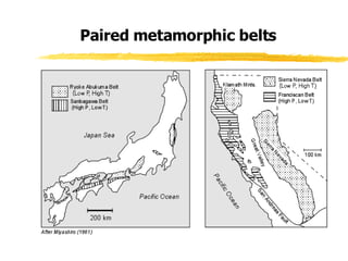Metaplate | PPT