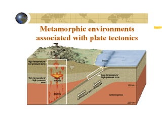 Metaplate | PPT