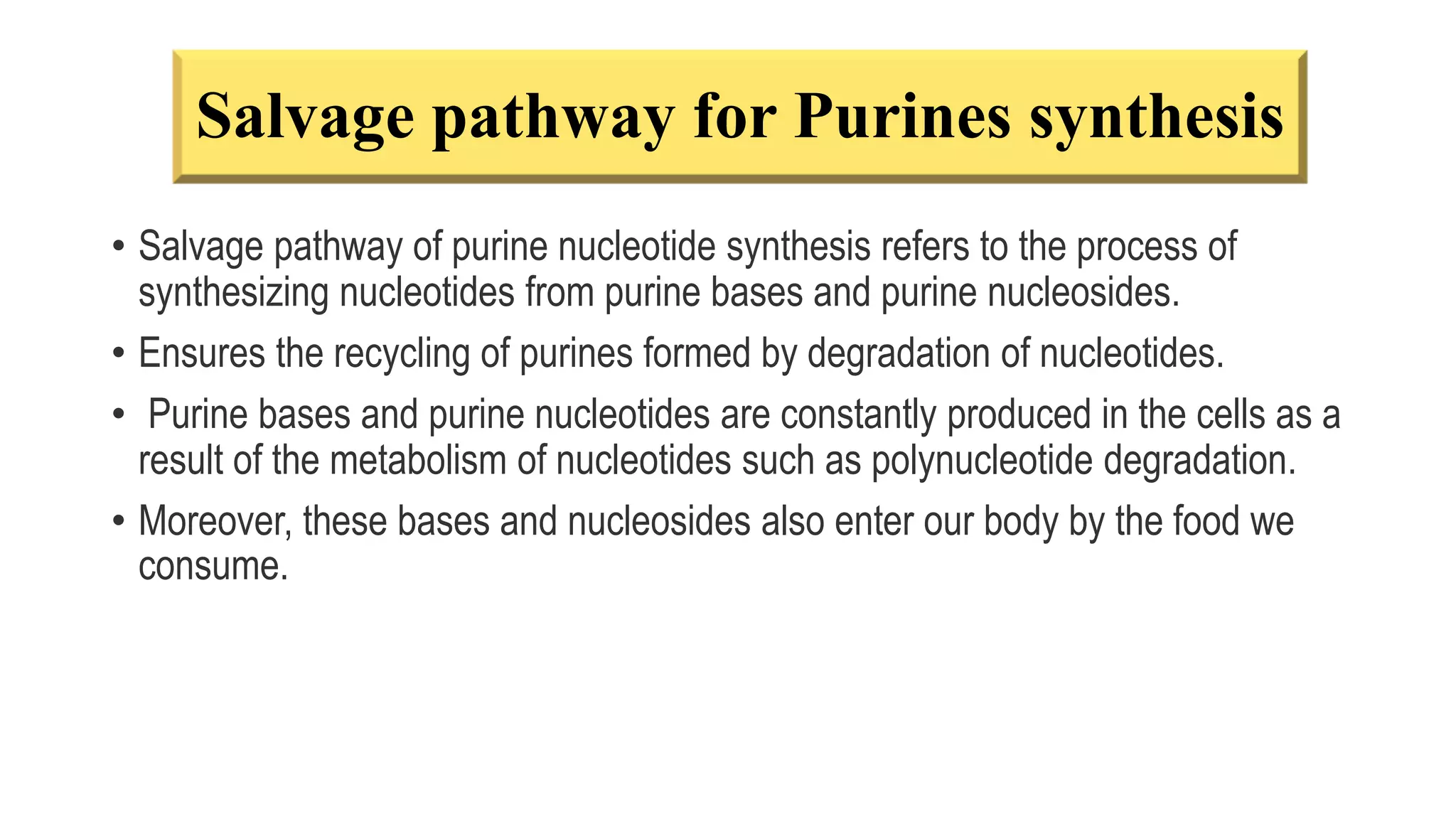 De novo and salvage pathway of nucleotides synthesis.pptx