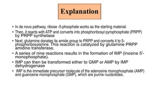 De novo and salvage pathway of nucleotides synthesis.pptx