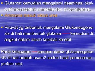 Met as amino.ppt