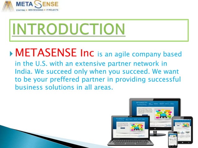 METASENSE.PPT.pptx | Business | Business and Finance