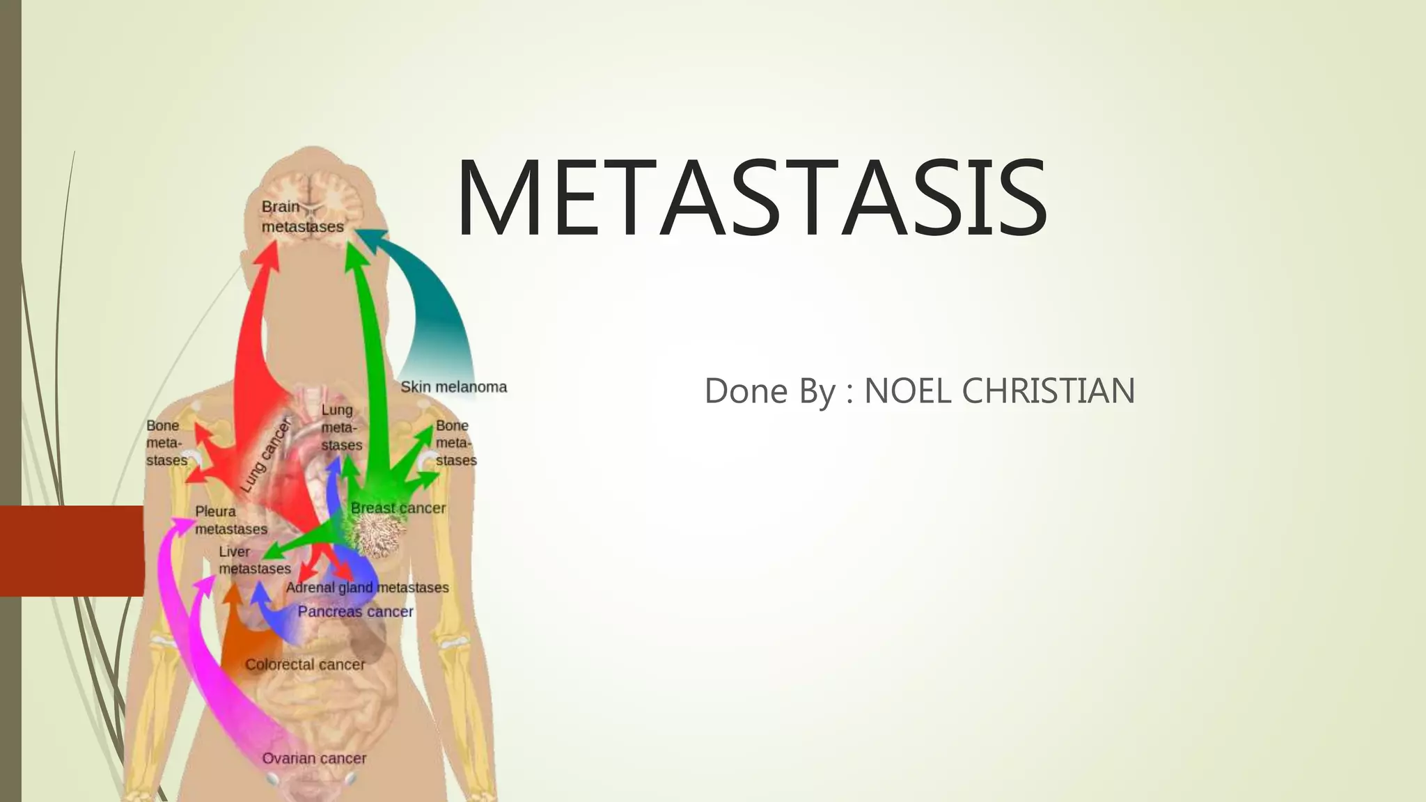 Metastasis | PPTX