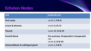 Metastatic neck disease | PPTX