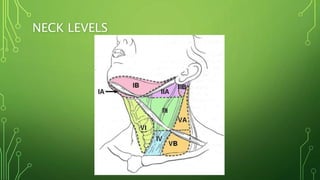 Metastatic neck disease and management | PPT