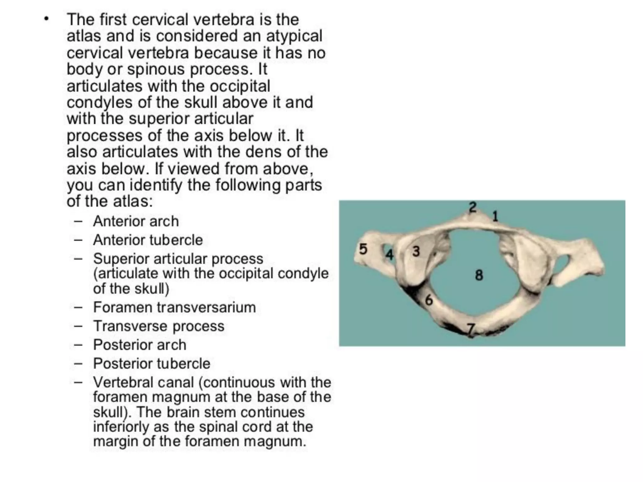 Metastatic neck disease | PDF
