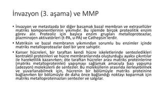 Metastaz oluşum basamakları ve metastaz süreci | PPT