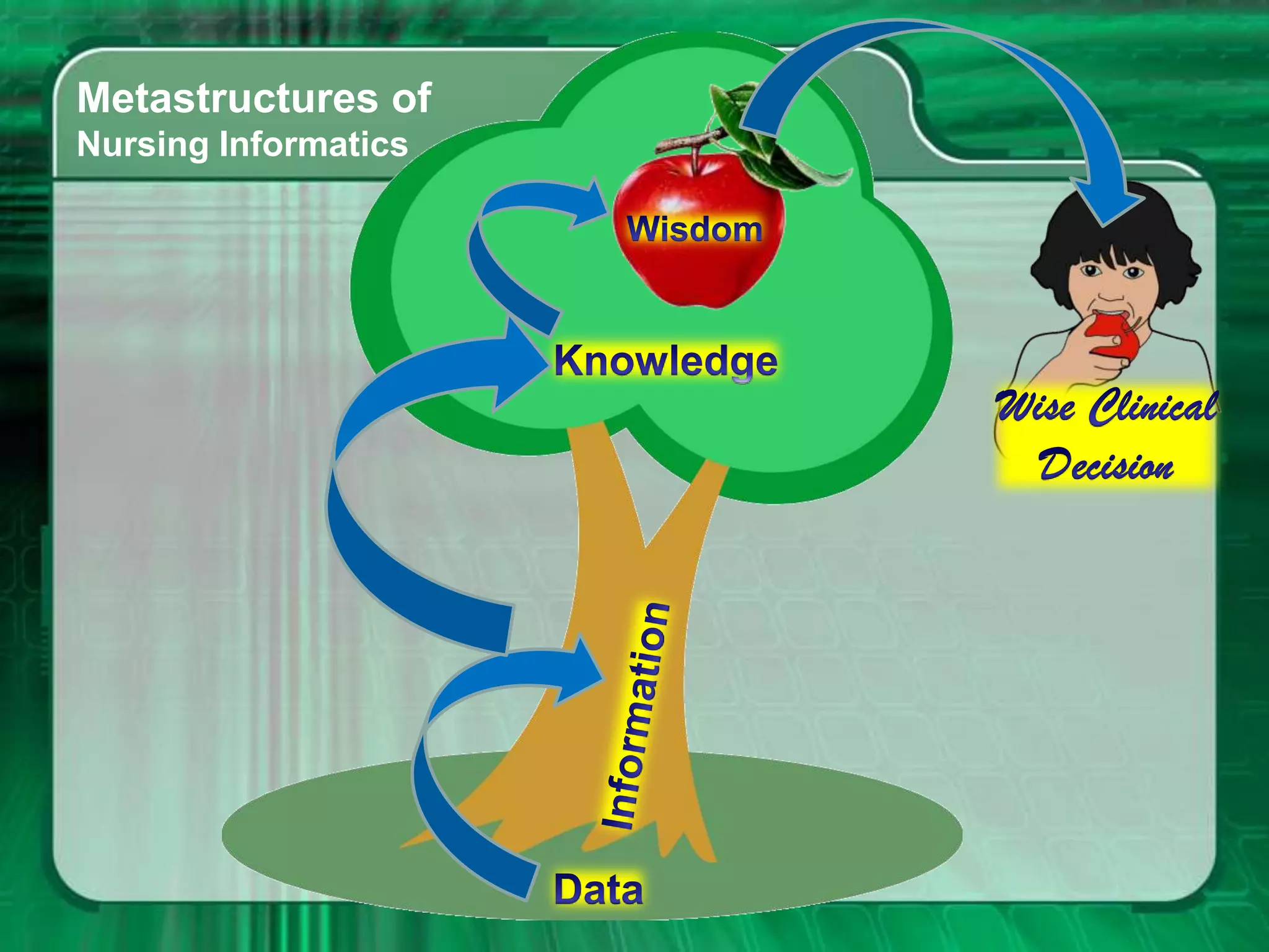 Metastructures of nursing informatics | PPTX