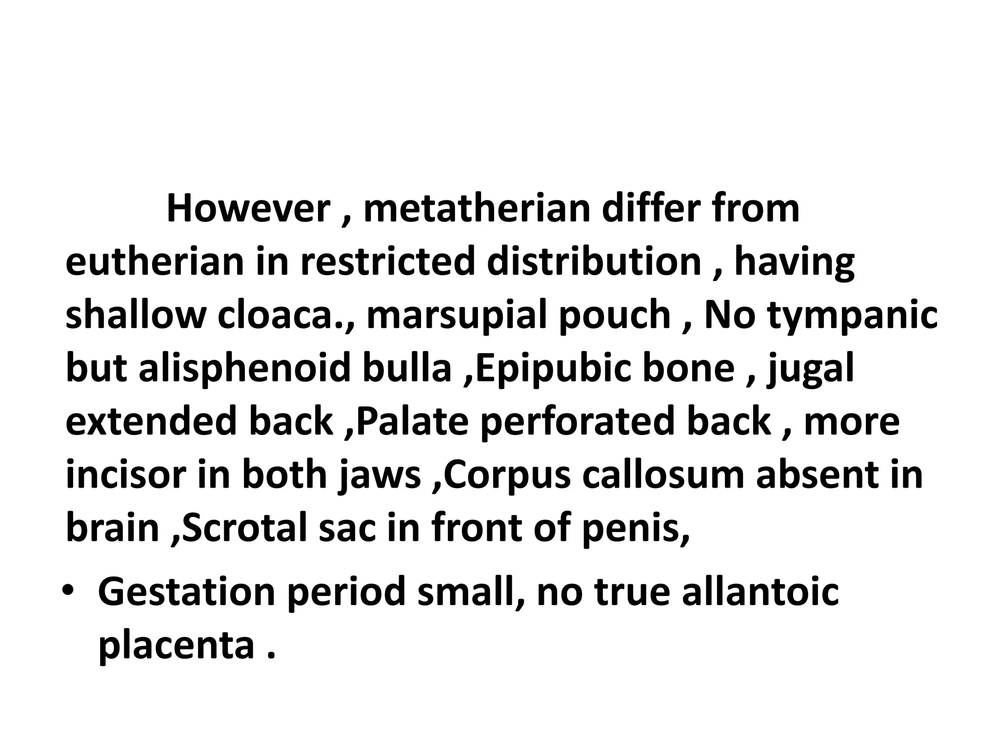 METATHERIA.pptx