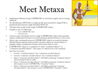 OpenDremel's Metaxa Architecture | PPT
