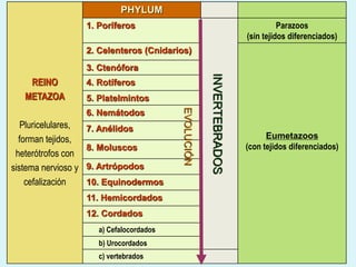 METAZOOS DIBLÁSTICOS-ACELOMADOS Y PSEUDOCELOMADOS.pdf