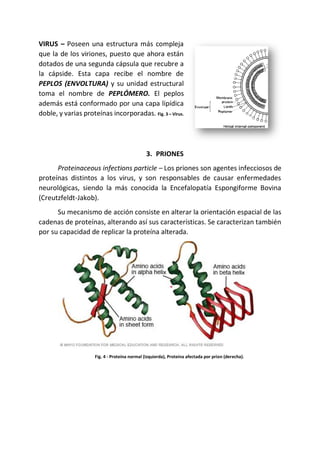 Que son los virus y que función cumple n.pdf