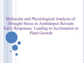 Molecular and Physiological Analysis of Drought Stress in Arabidopsis ...