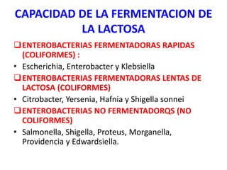 ENTEROBACTERIAS | PPTX