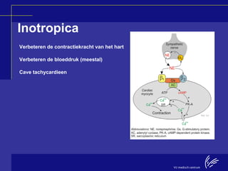 Sessie 3: Meten is weten asthma cardiale en cardiac outputmeting | PPT