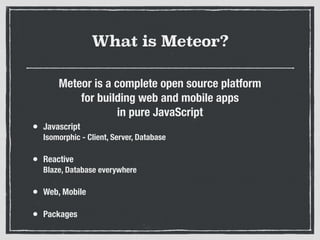 Meteor + Polymer | PDF