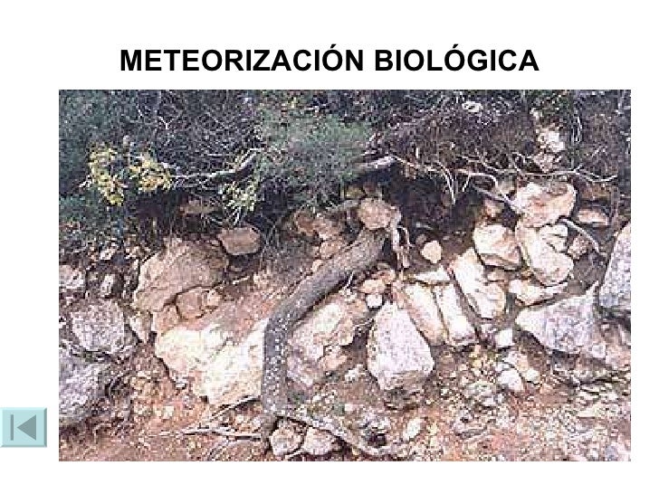Meteorización