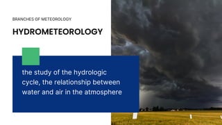 METEOROLOGY.pdf