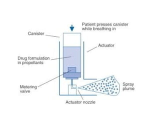 Metered Dose Inhaler Pharmaceutics Presentation.pptx