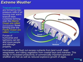 Meterology | PPTX