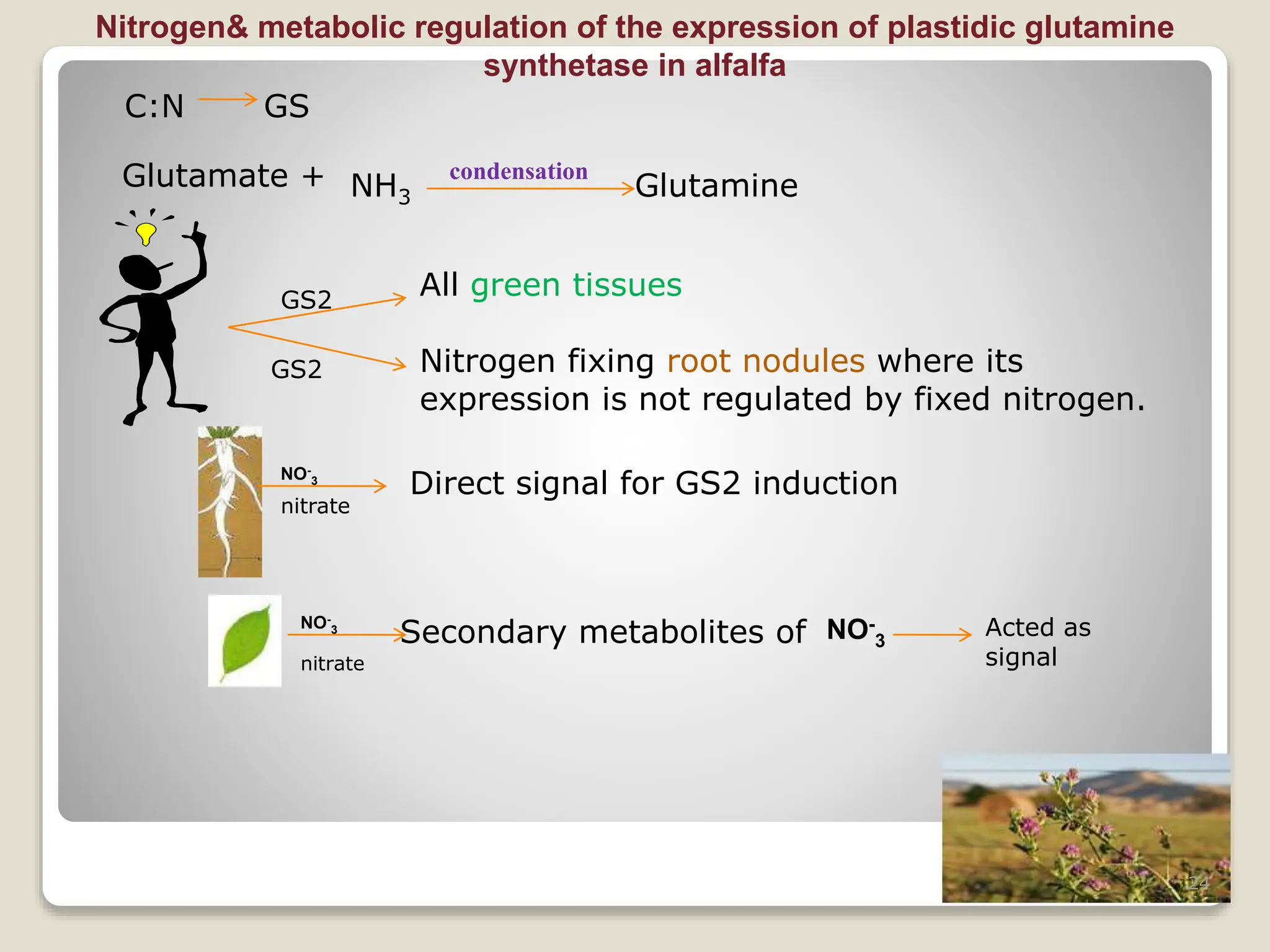 MET EV 2.pptx, metabolimics,genomics,approach | PPTX