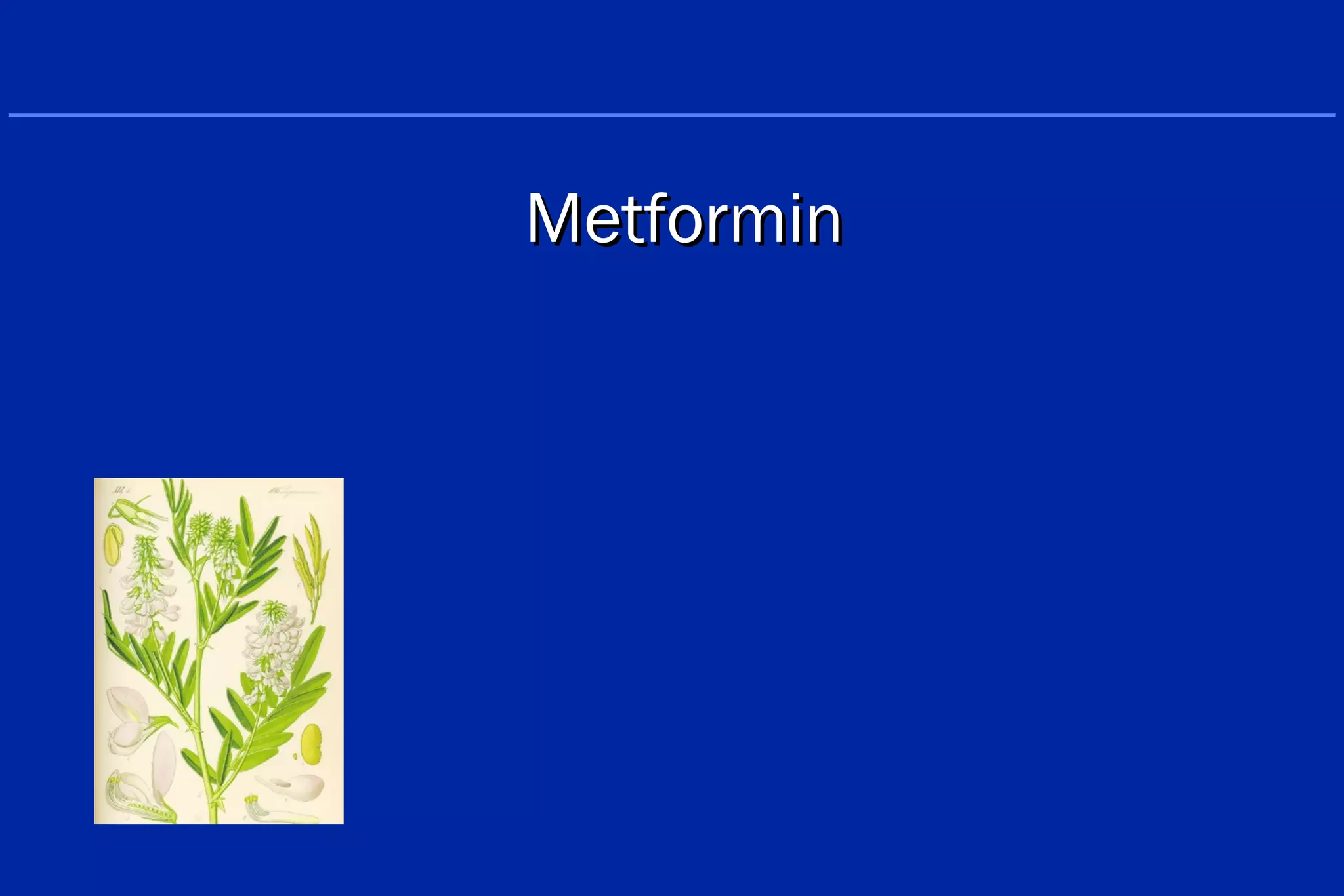 Metformin | PPT