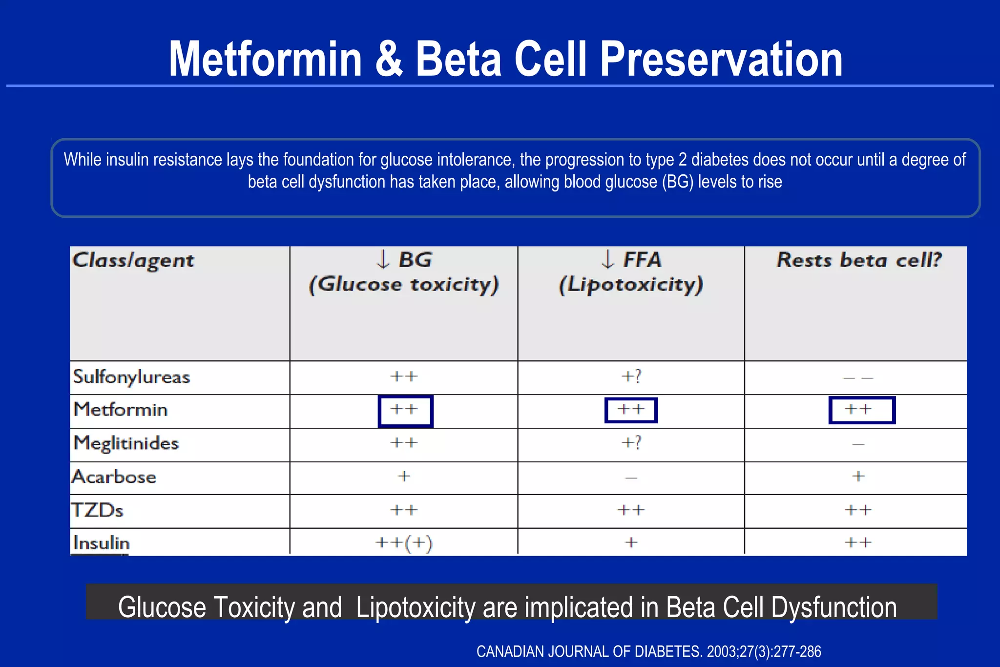 Metformin | PPT