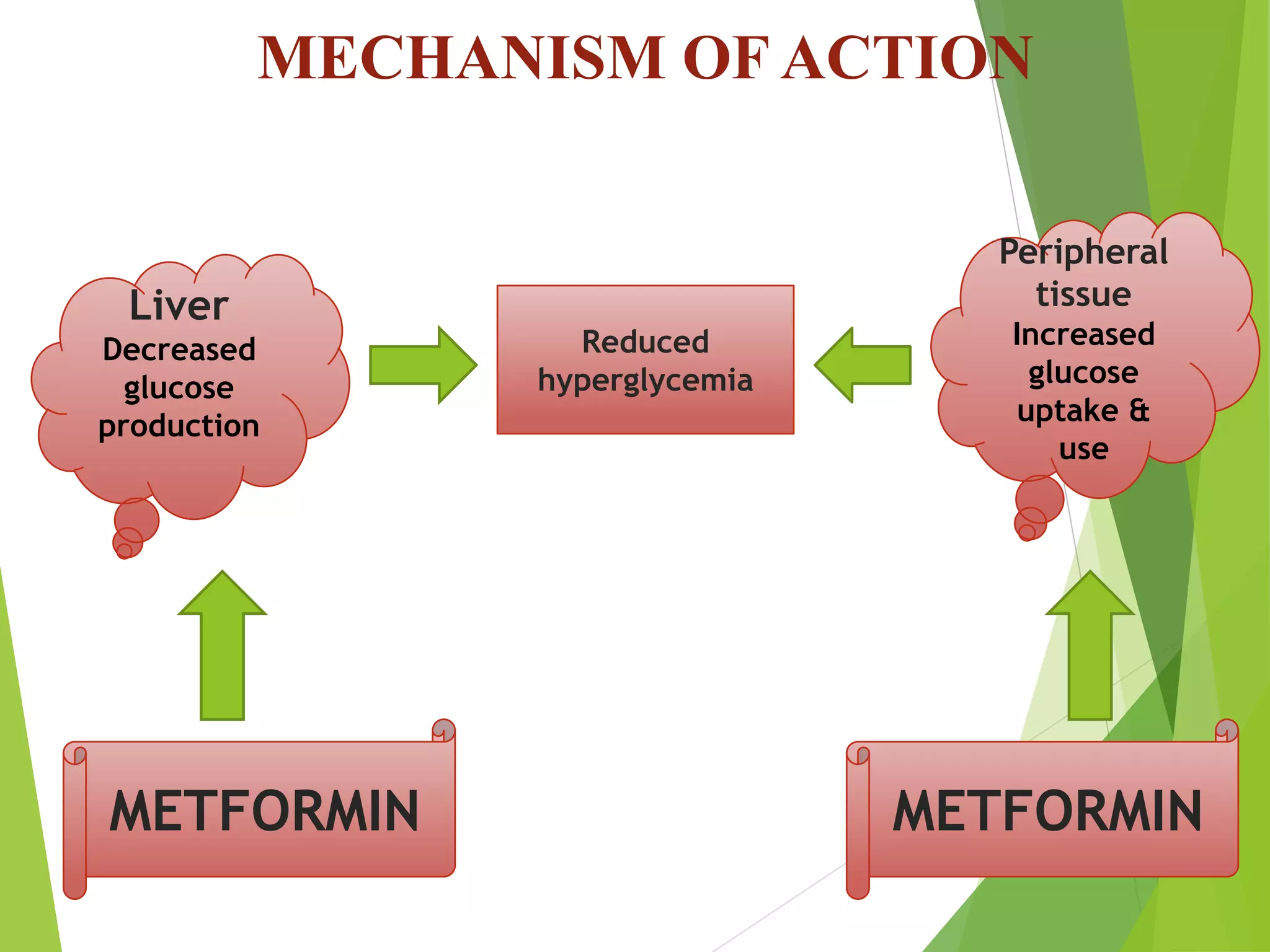 Metformin; type 2 diabetes; healthcare; nutrition | PPTX