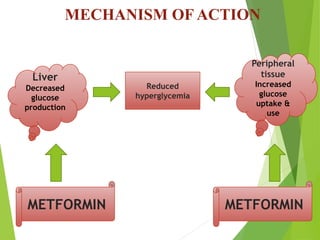 Metformin; type 2 diabetes; healthcare; nutrition | PPTX