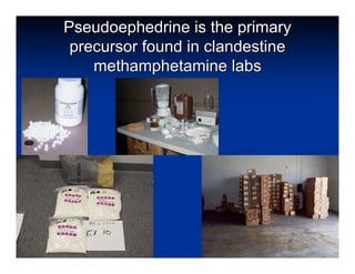 DEA Methamphetamine and chemical control | PDF