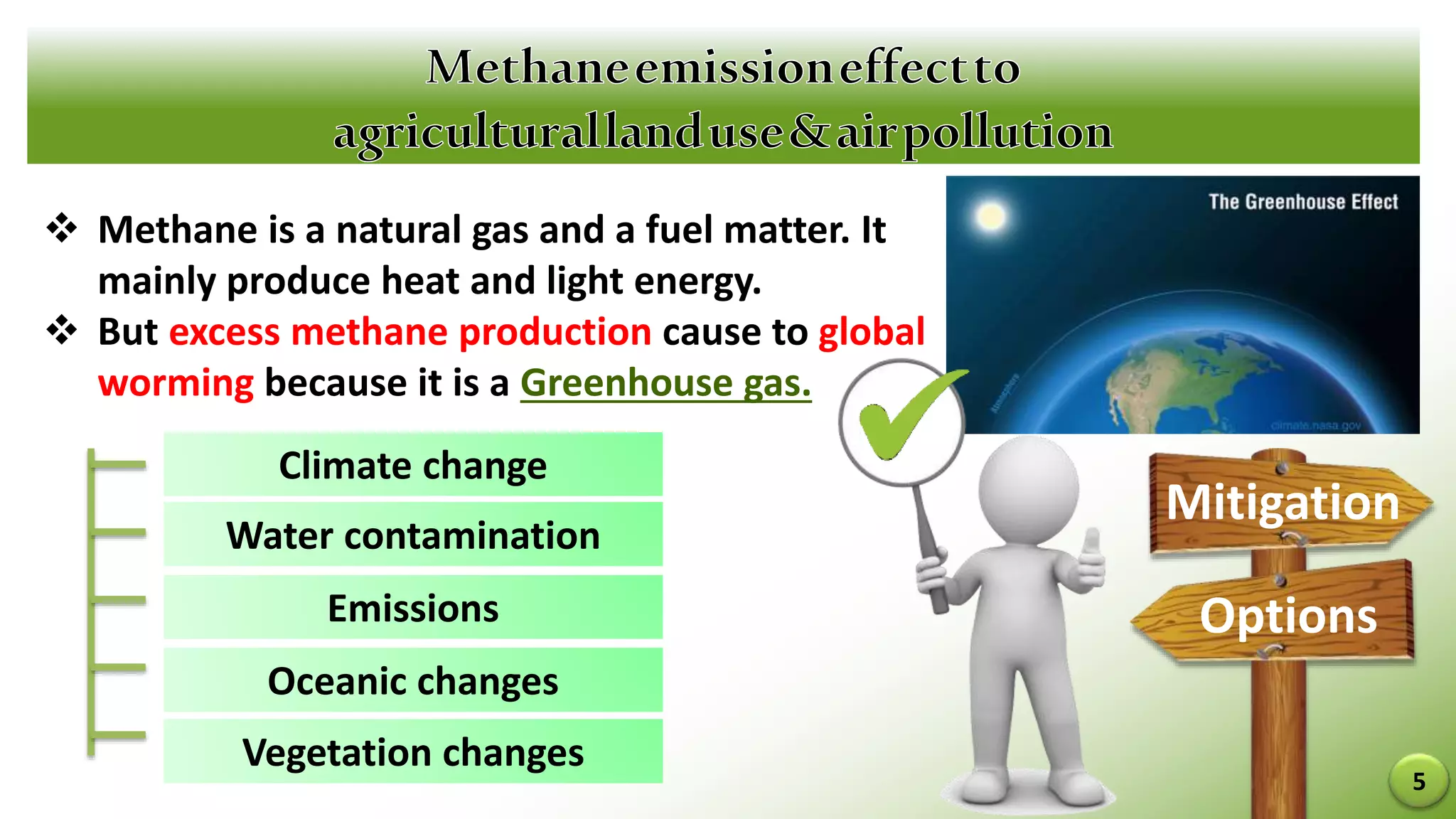 Methane emission from paddy field.pptx