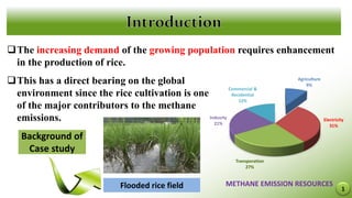Methane emission from paddy field.pptx