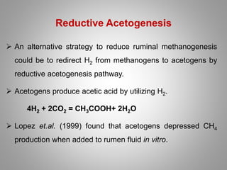 Methane Mitigation In Ruminants Through Nutritional Interventions | PPTX