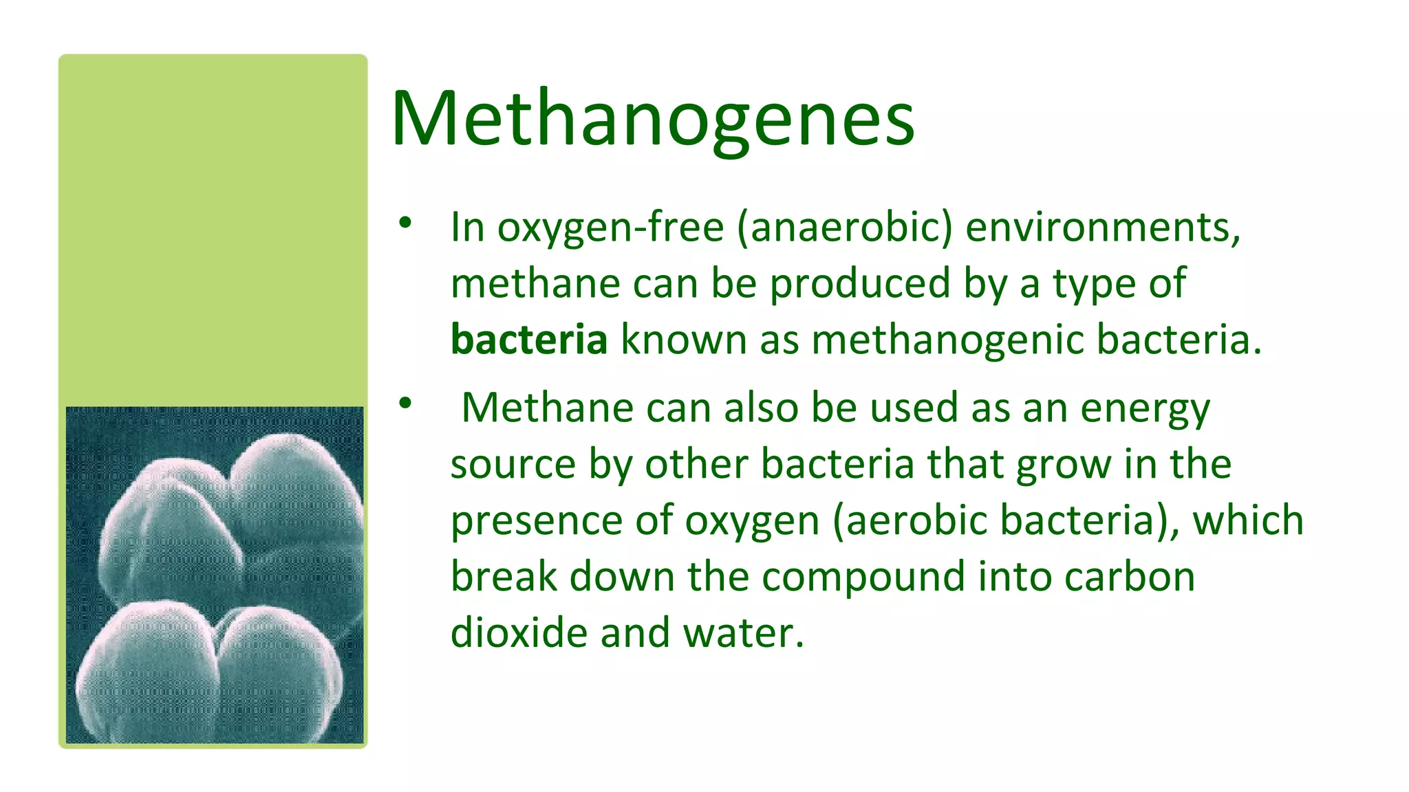 Methane production by bacteria | PPT