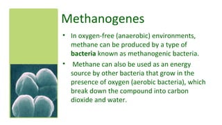 Methane production by bacteria | PPT