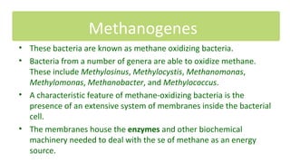 Methane production by bacteria | PPT