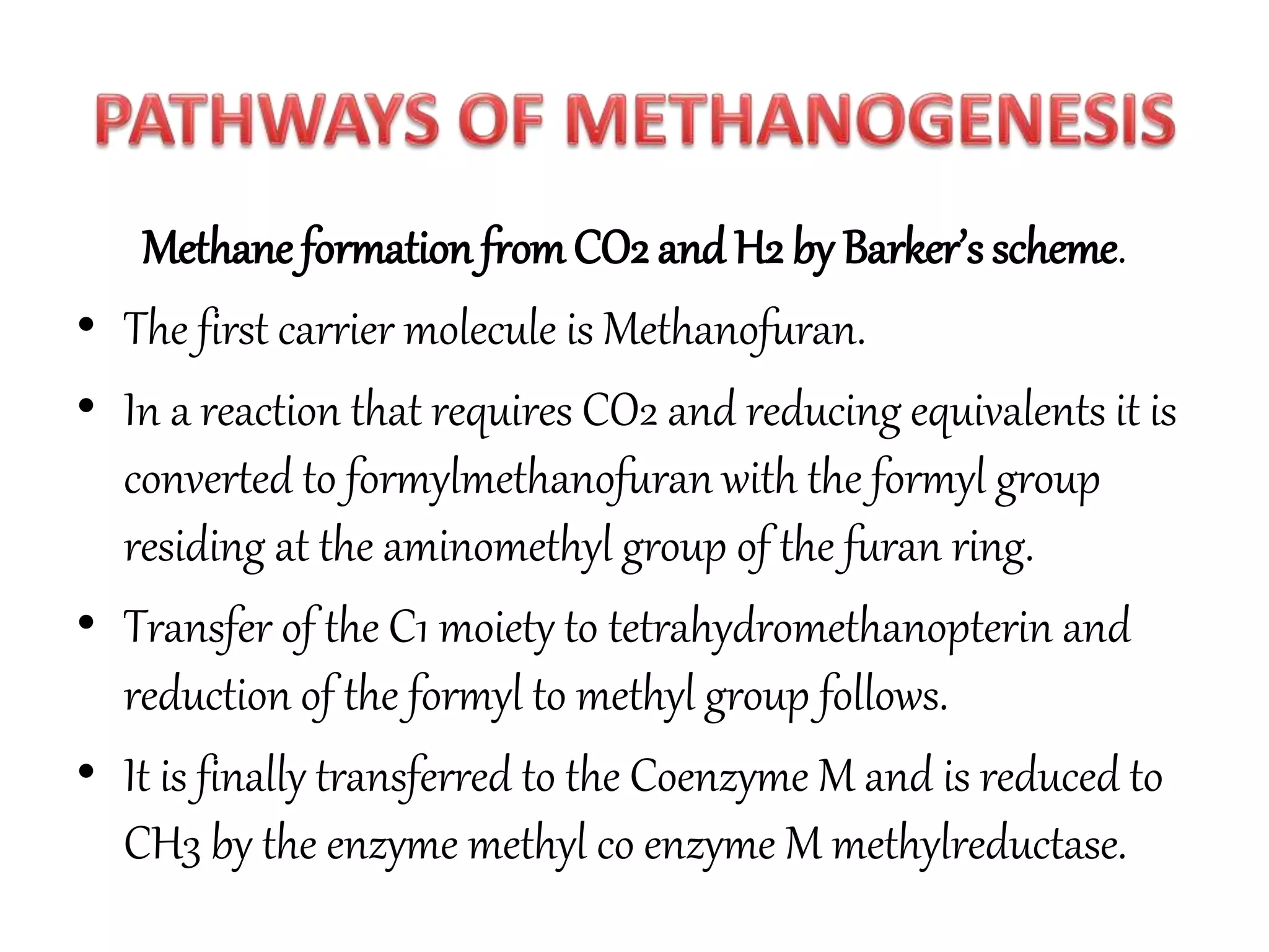 Methanogenesis | PPTX