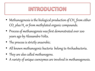 Methanogenesis | PPTX