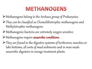 Methanogens