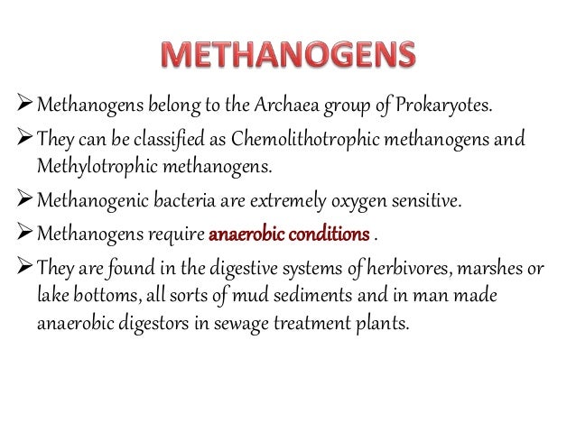Methanogenesis