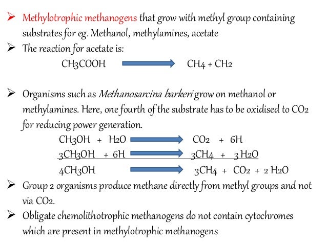 Methanogenesis