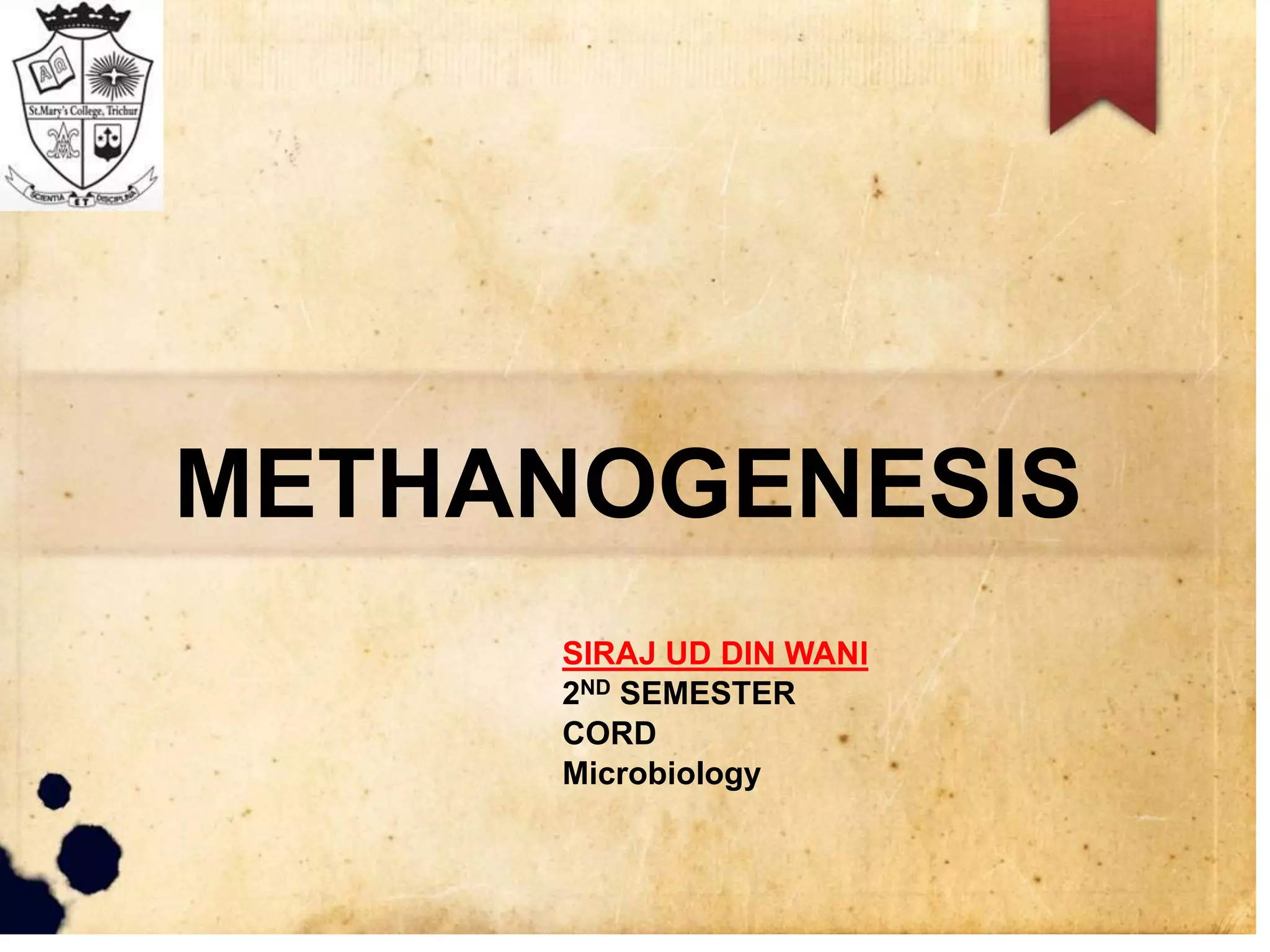 methanogenesis.pptx