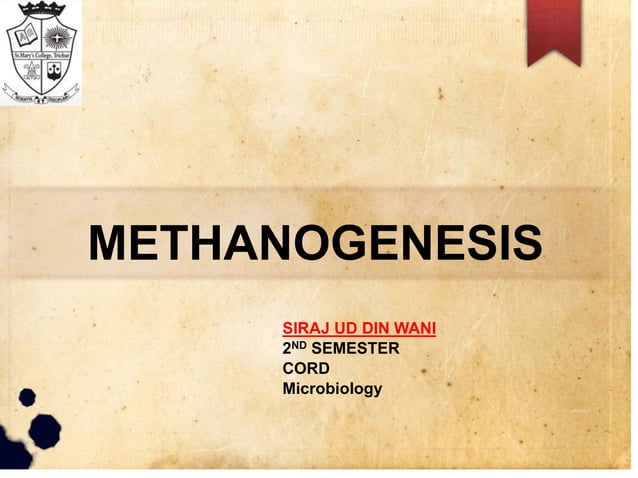 methanogenesis.pptx | Chemistry | Science