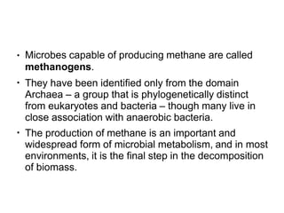 methanogenesis.pptx