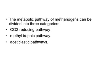 methanogenesis.pptx