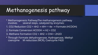 METHANOGENESIS of microbial physiology in microbiology | PPTX