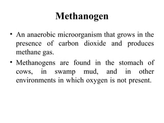 methanogens-bvvvvvbbbvvgbbgand-biogas.ppt